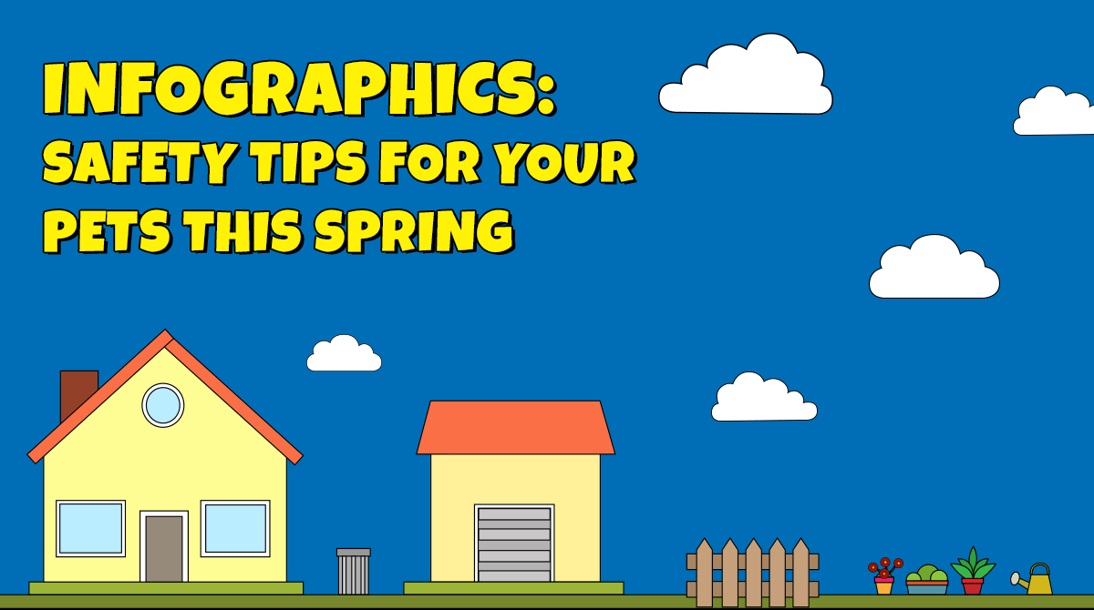 Infographic: Safety Tips for Your Pets this Spring - Joe's Pet Meds