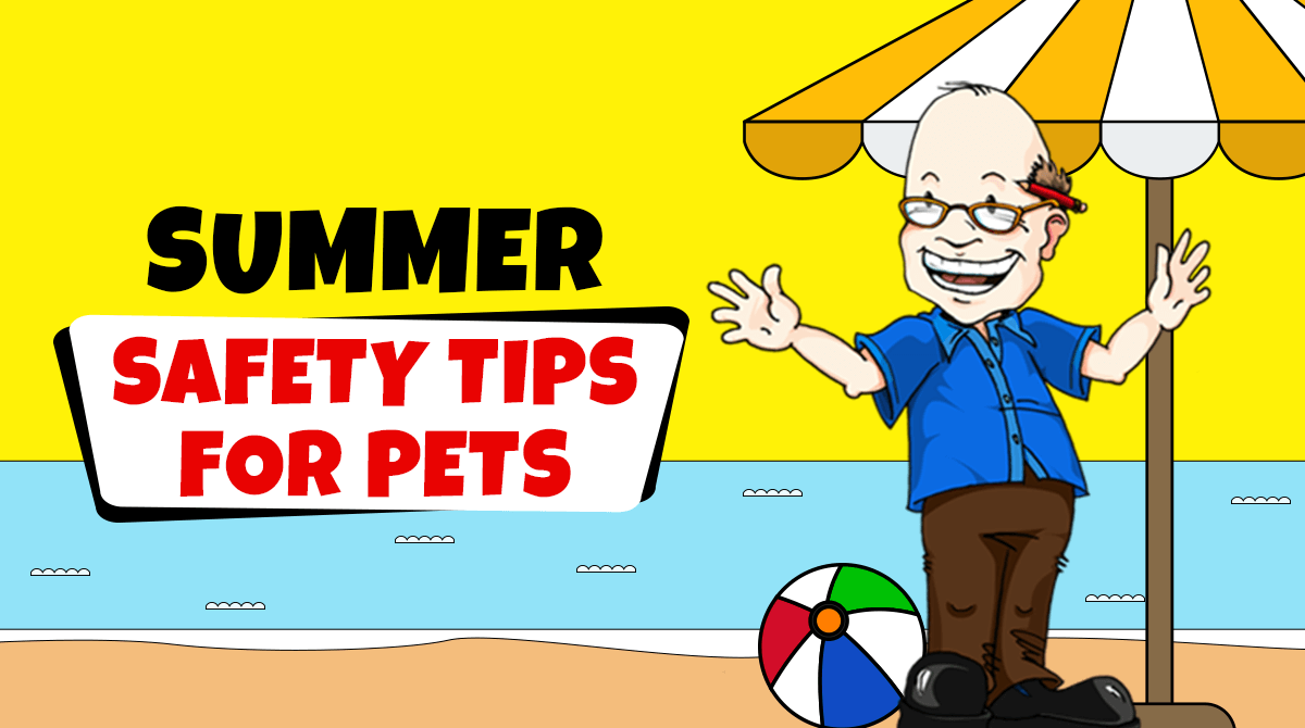 Safety Tips for Pets this Summer - Joe's Pet Meds