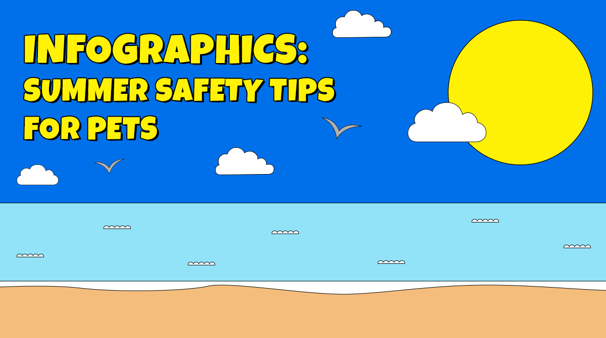 Infographic: Safety Tips for Pets this Summer - Joe's Pet Meds