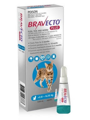 Bravecto Plus for Cats at Joe's Pet Meds